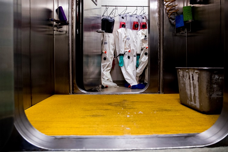 Human Lab Rats: The U.S. Government’s Secret History of Grisly ...